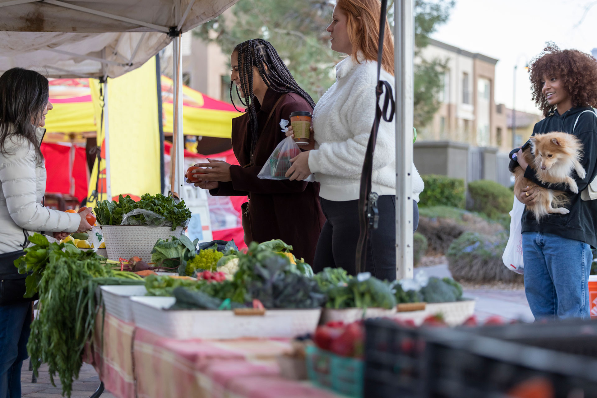 About Us - Fed Communities